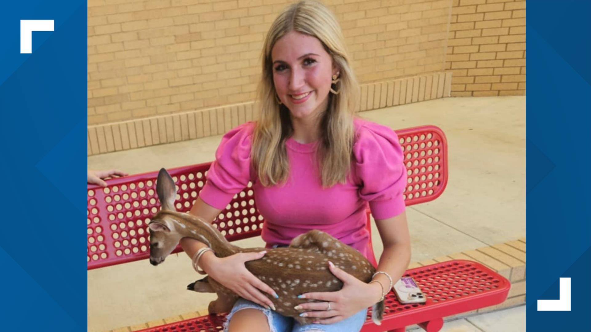 Texas woman rescues baby deer from school parking lot grate | cbs19.tv
