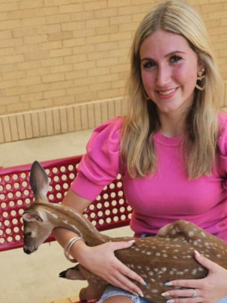 Texas woman rescues baby deer from school parking lot grate | cbs19.tv