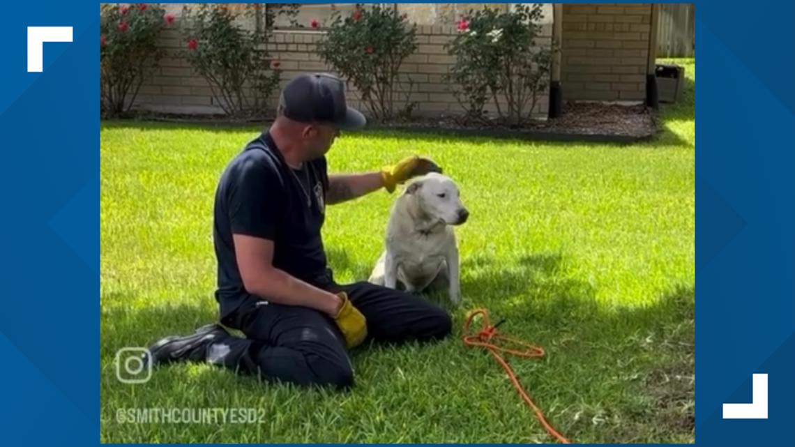 WATCH: East Texas firefighters rescue dog stranded in storm drain | cbs19.tv