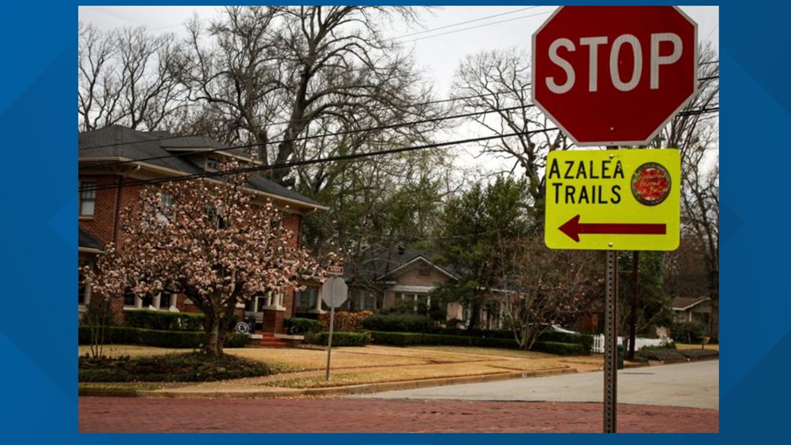Azalea, flower trail to welcome in spring season in Tyler | cbs19.tv