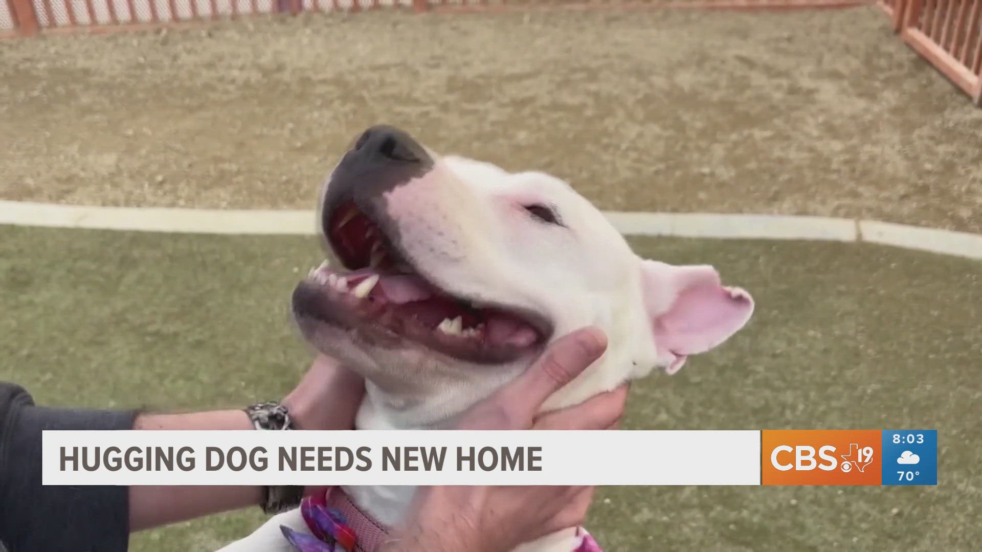 Forever chemicals in makeup have uncertain health effects, FDA report ...