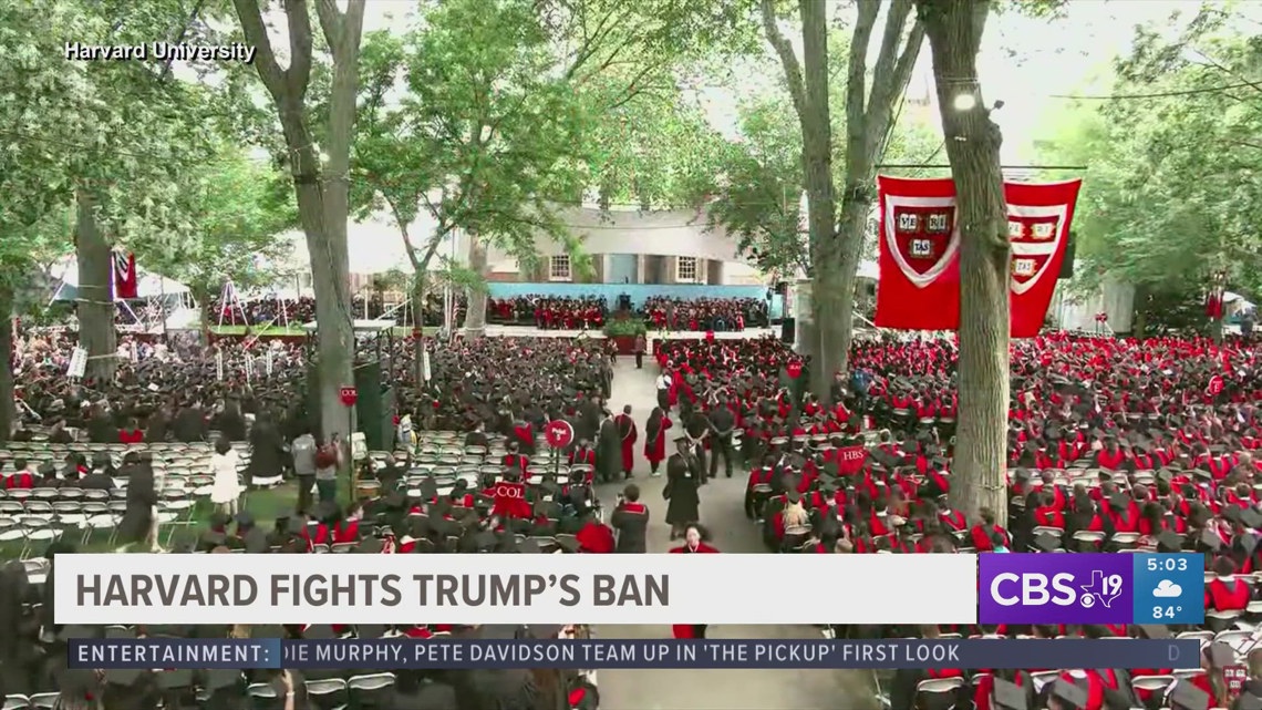 Harvard retaliates against Trump Administration's push to ban ...