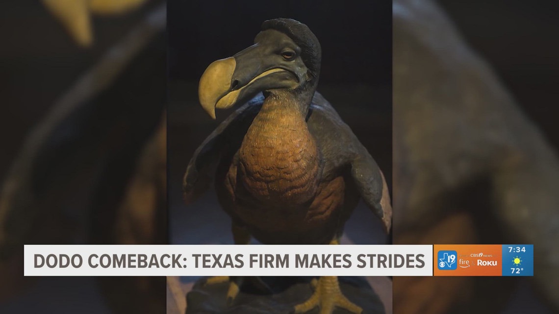 Texas firm makes strides to bring back the Dodo bird | cbs19.tv