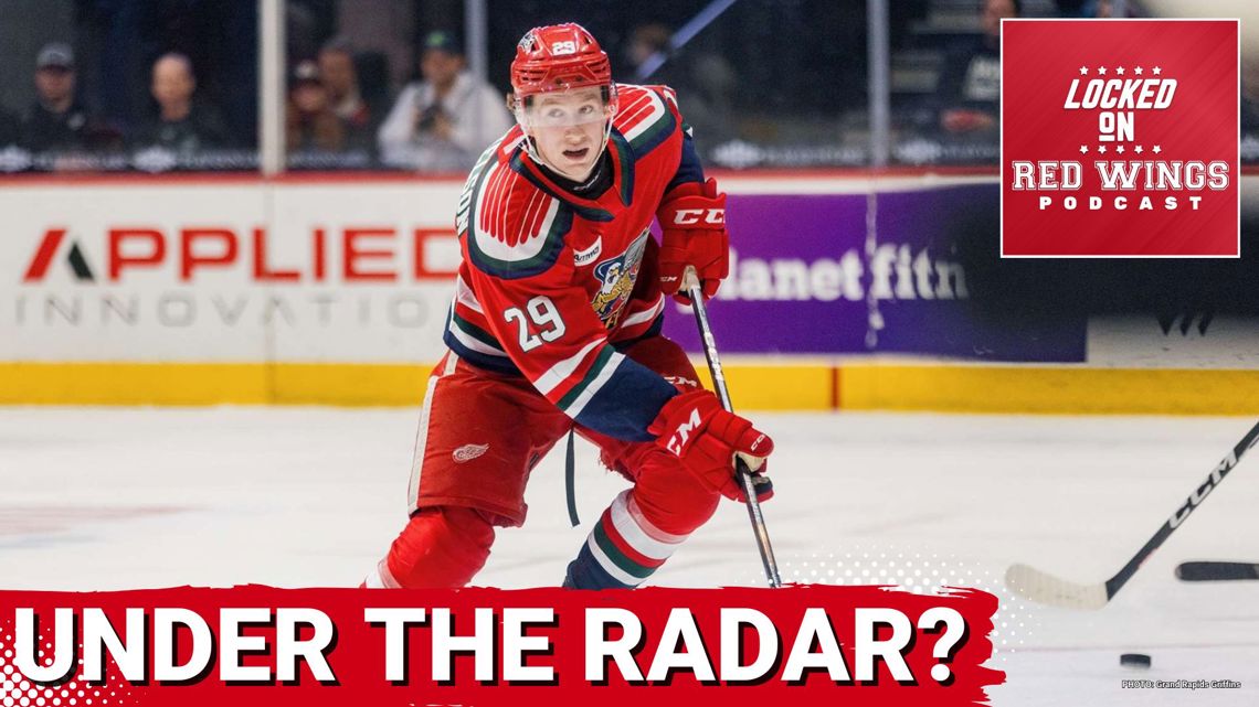 Nate Danielson szn? What prospects are flying under the radar to make the Detroit Red Wings ...