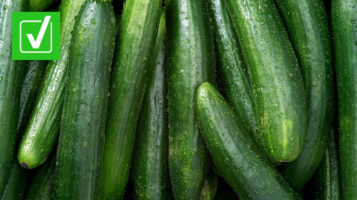 Fresh Start Produce Sales, Inc. cucumbers recalled for salmonella ...