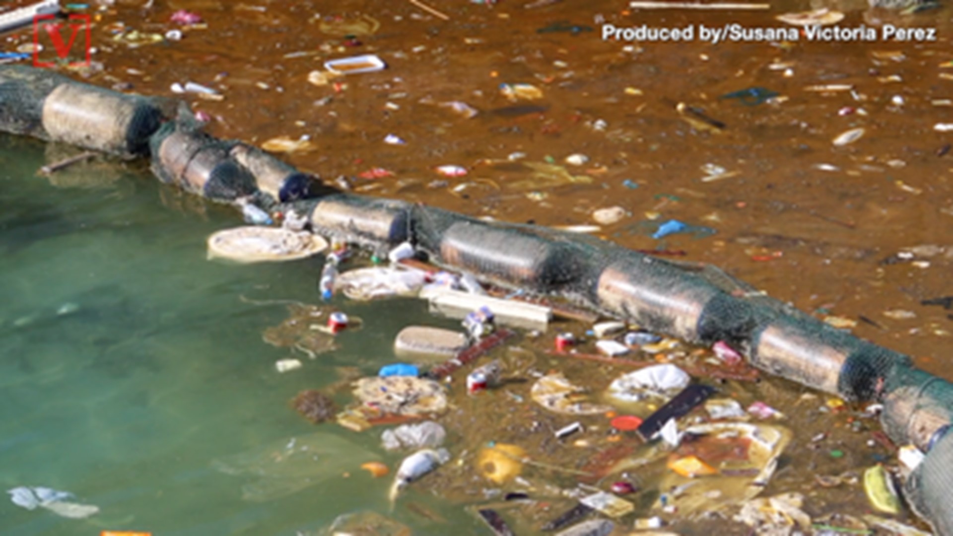 Which companies pollute the ocean the most? | cbs19.tv
