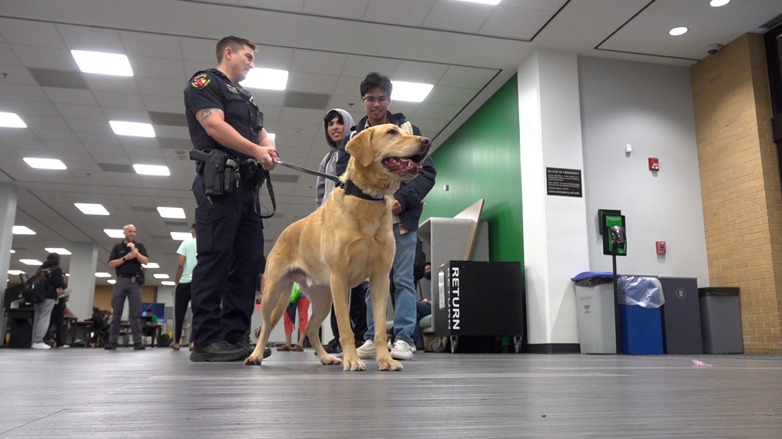 K9 officer takes farewell tour across UNT campus | cbs19.tv