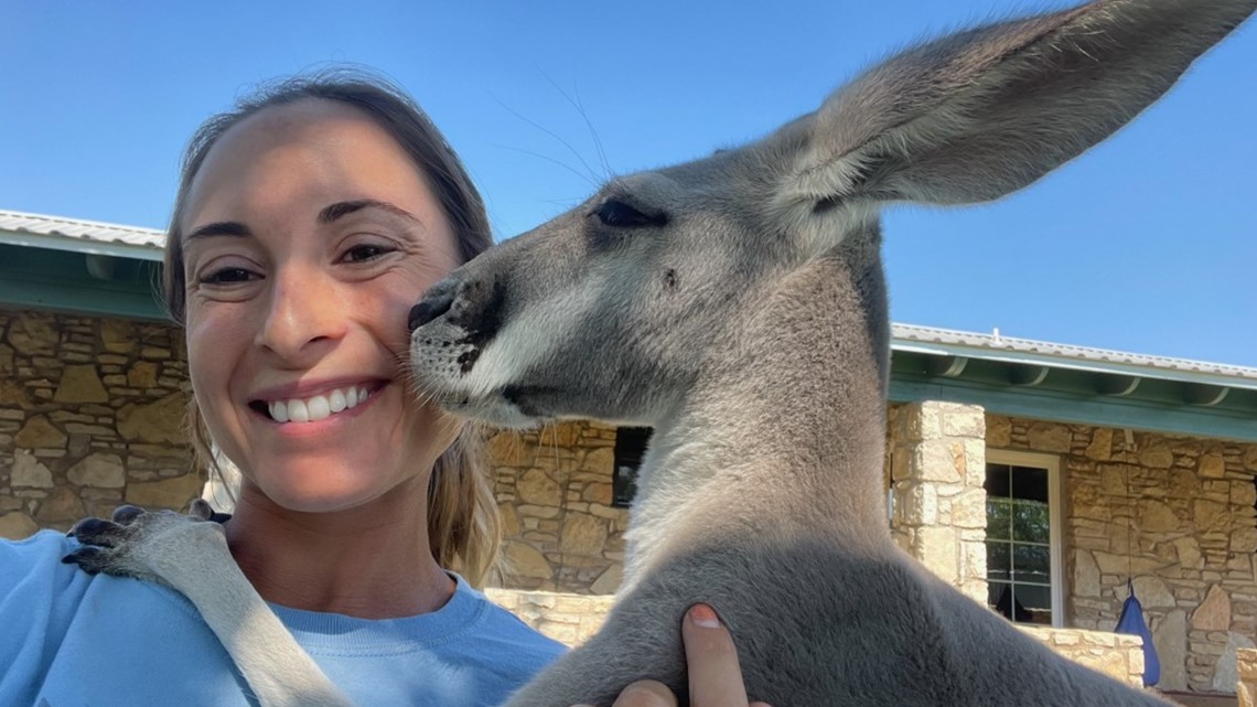 Missing Texas kangaroo Nigel returns home in Granbury | cbs19.tv