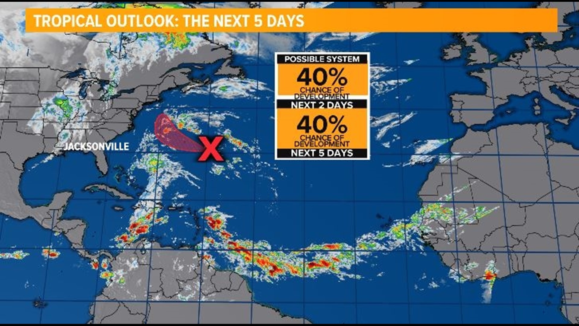 VERIFY: Dead bull shark found in Trinity River | cbs19.tv