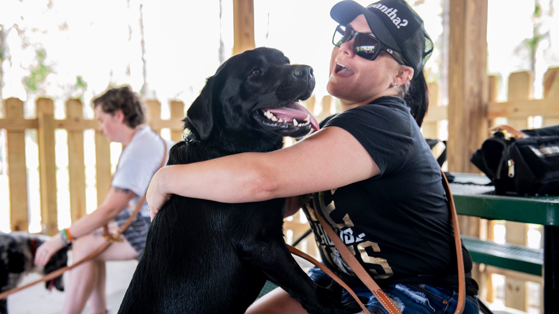 Air Force veteran says her new service dog saved her life | cbs19.tv