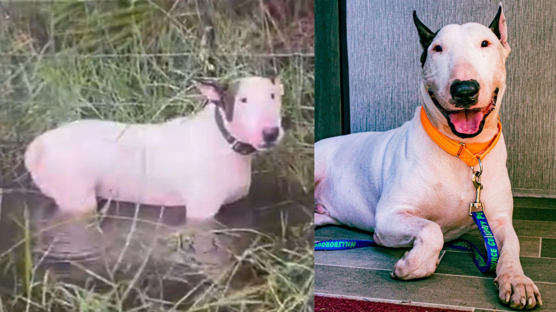 UPDATE: Beunka Adams has been executed, last statement | cbs19.tv