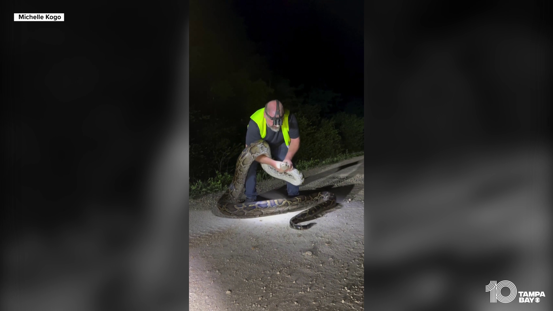 Florida man wrangles 17-foot python with bare hands in Everglades ...
