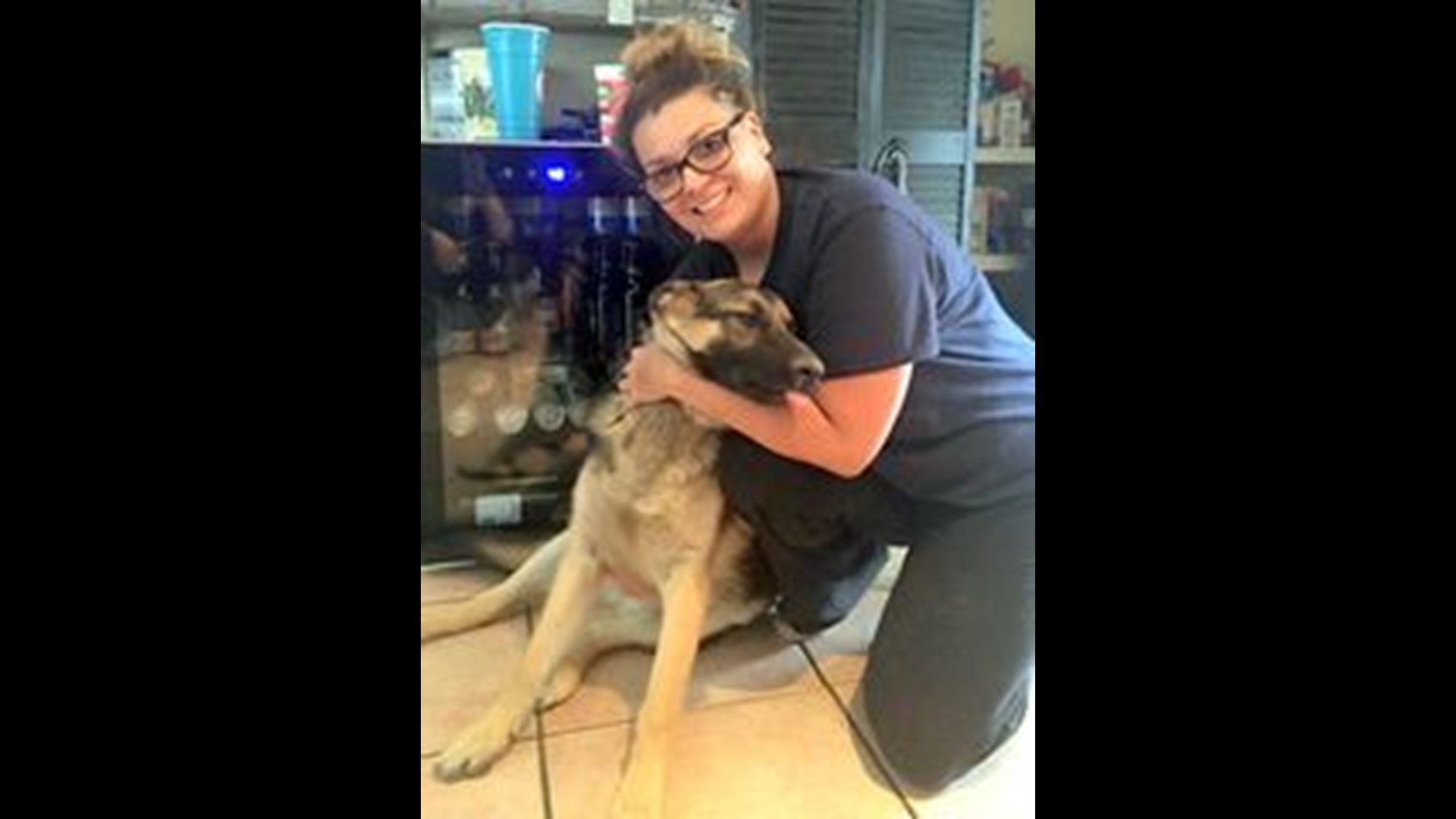 Woman and dog survive lightning strike | cbs19.tv