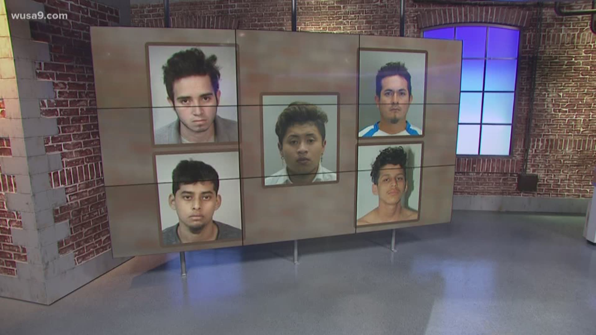 Police: MS-13 stabbed teen Fairfax gang member 100+ times and set his ...