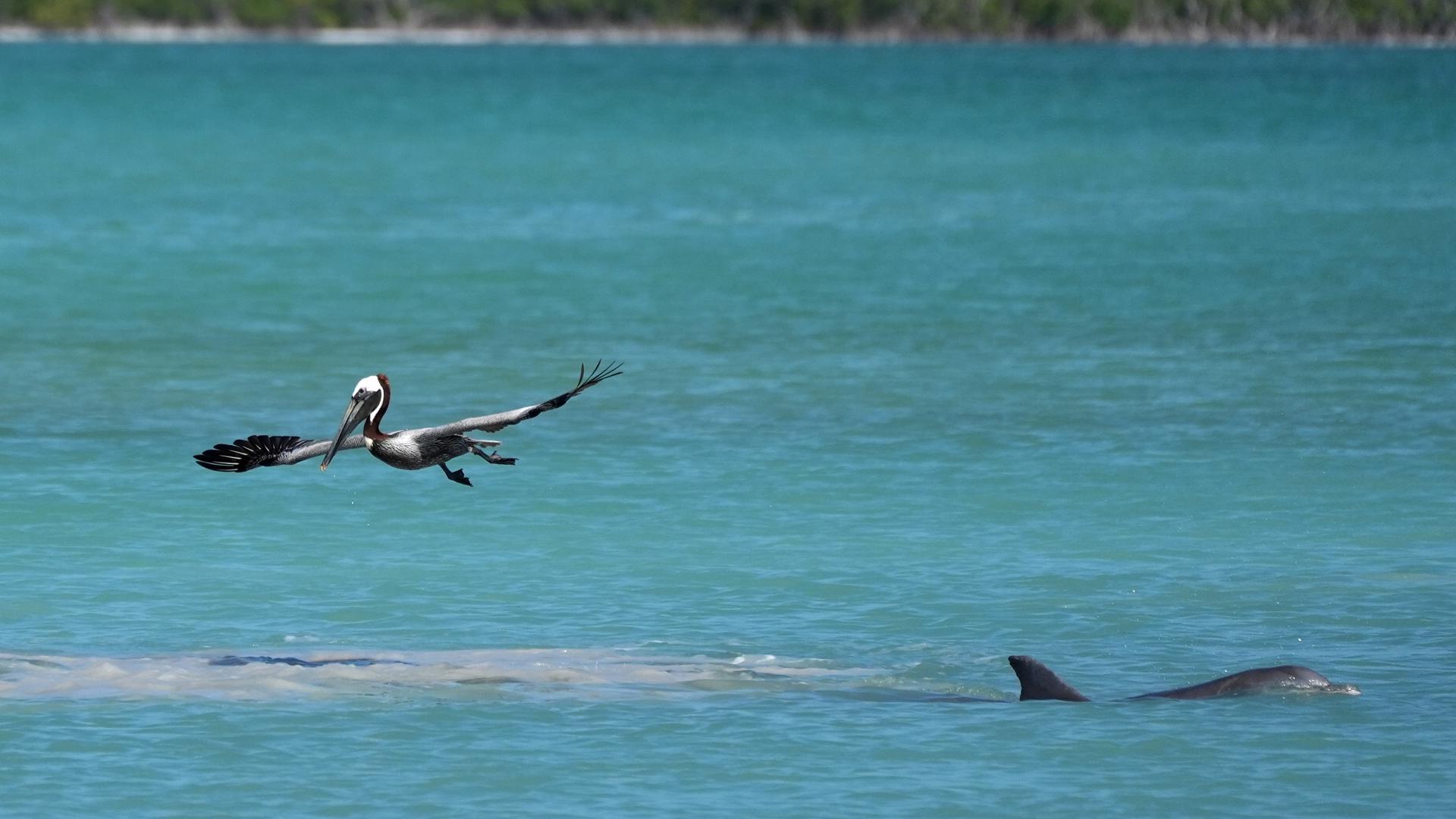 Tyler Weather Radar | Tyler, Texas | cbs19.tv